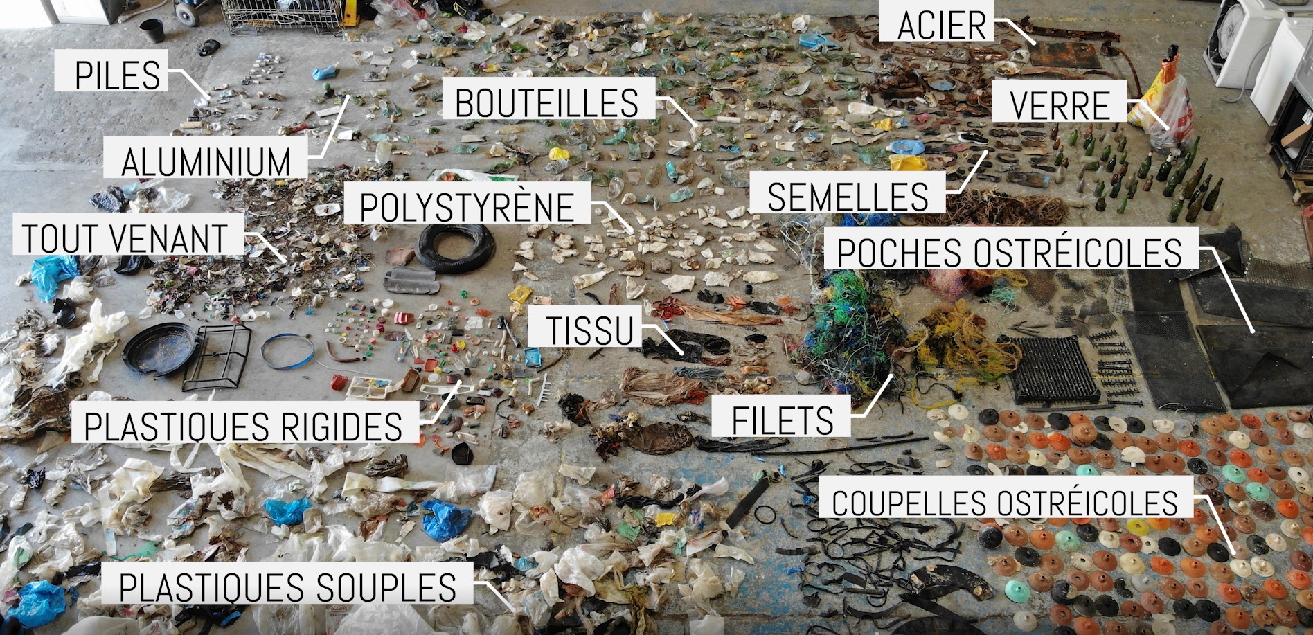 Focus Pocus Productions